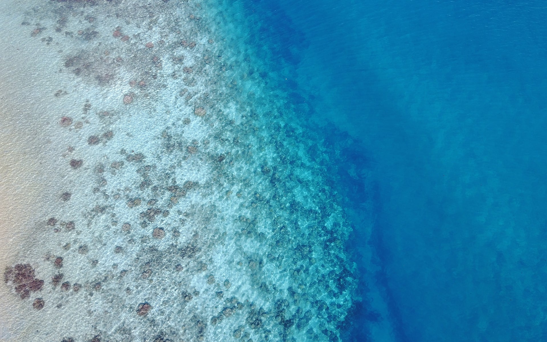 MARGEN | Our Eco Promise | Our Ocean