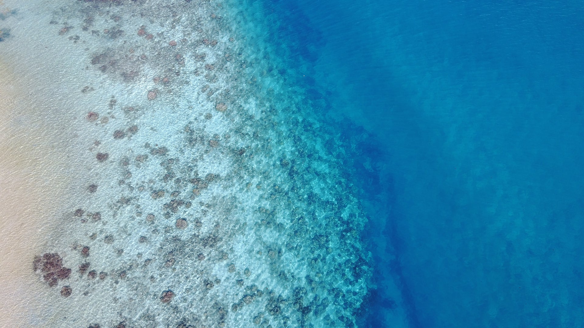 MARGEN | Our Eco Promise | Our Ocean